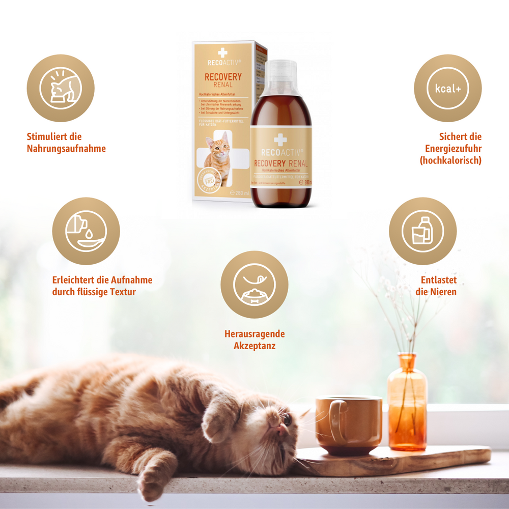RECOACTIV® Recovery Renal Tonic for cats